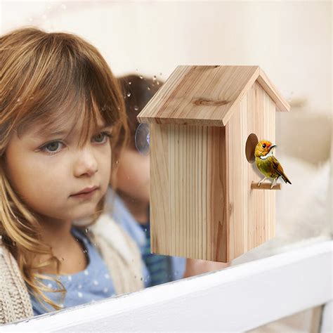 Diy Bird Nest Wood Birds Nest Wooden Hanging Bird Grandado