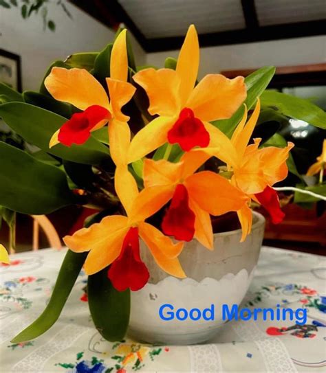 Sanjay Jain Deendayal Posted On Linkedin