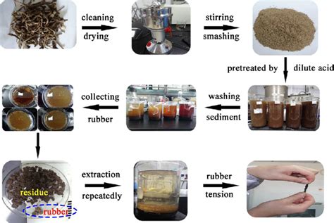 Pretreatment Experiment Operation Steps Download Scientific Diagram