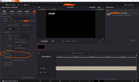 Codec Is Not Opened Yet Bug Reports Voukoder Pro