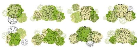 Tree Top View Vector