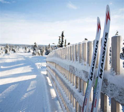 Madshus online shop at Sport Conrad