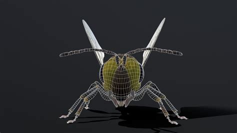 3d Model Bee Low Poly 3d Model Vr Ar Low Poly Cgtrader
