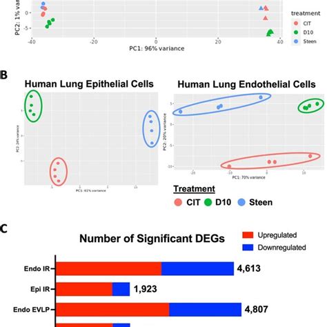 Principal Component Analysis PCA Plots And A Bar Graph Of Significant Download Scientific