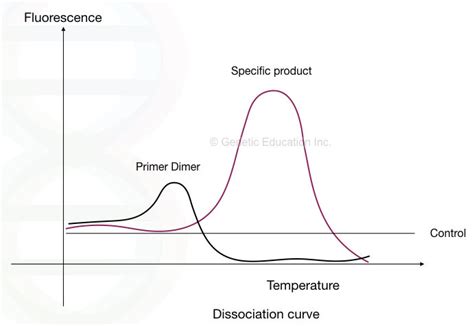 Primer Dimer Zones Dna Amplification By Pairing With Foe