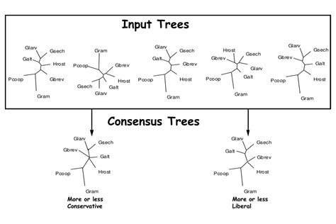 Ppt Inferring Trees From Trees Consensus And Supertree Methods