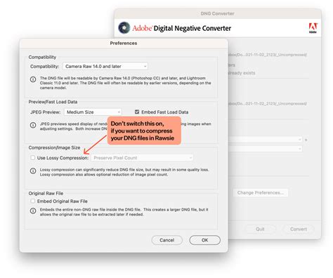 Can I Compress Dng Files In Rawsie