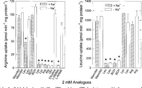 Figure 1 From Induced Nitric Oxide Synthesis Is Dependent On Induced Alternatively Spliced Cat 2