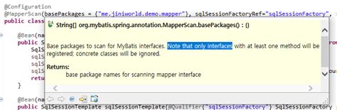 Spring Boot Jpa Mybatis