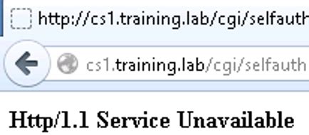 NetScaler Authentication Error Cgi Selfauth SeriousTek