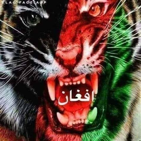 افغان سرباز