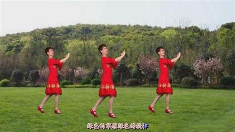 2019最火情歌广场舞《草原绿了》天籁之音，歌美舞醉，动人动心舞蹈广场舞好看视频