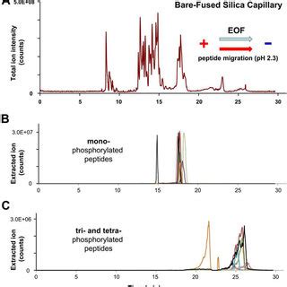 NanoLC MS Separation Of Post Translational Modified Synthetic Peptides
