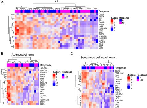 Heatmap For Tumor Inflammation Signature Tis Profile Considered