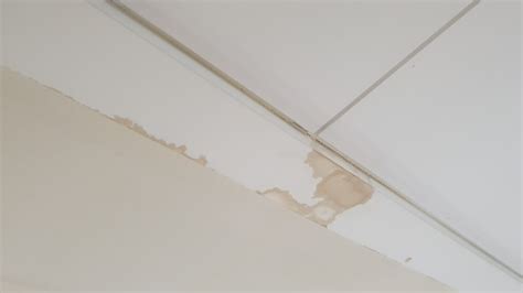 누수로 부엌 천정에 누수 흔적이 생겼어요 누수흔적 페인트칠해서 없애드렸어요 서울특별시 서초구 서초동 주택수리종합 당근 비즈 소식