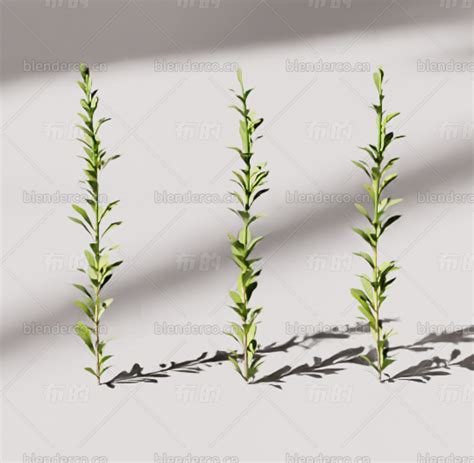 Blender草blender布的模型276 Blender布的