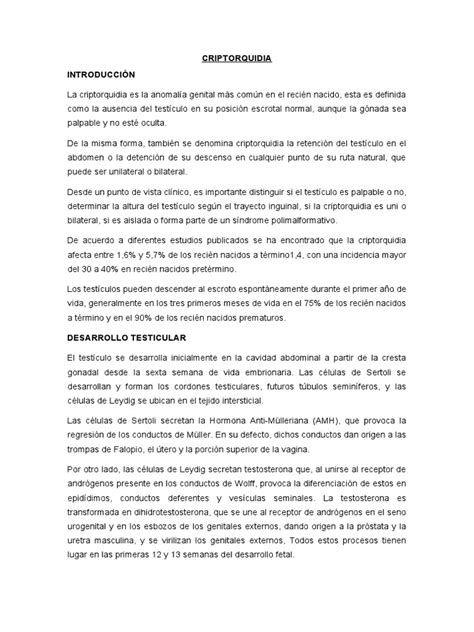 Criptorquidia Pdf Testículo Andrógino