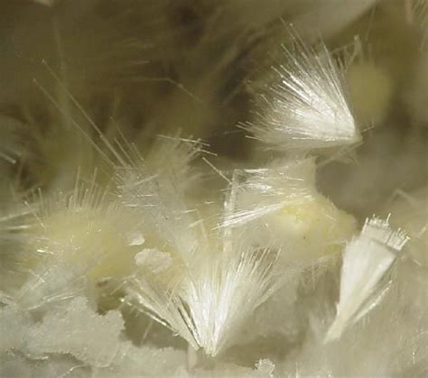 Mordenite Hydrated Sodium Potassium And Calcium Aluminosilicate