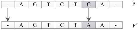 Genes Free Full Text Neural Network Evolving Algorithm Based On The Triplet Codon Encoding