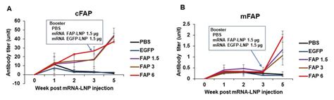 Antibody Production In Mice Immunized With Cfap Mrna Lnp Male Dba 1 Download Scientific
