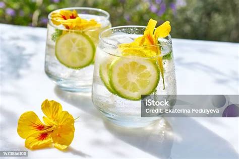 식용 Nasturtium 꽃 석회 및 민트 잎을 가진 아이스 레모네이드 상쾌한 여름 음료 건강한 유기농 여름 소다 음료 해독 물 다이어트 비 알콜 산 칵테일 감귤류 과일에