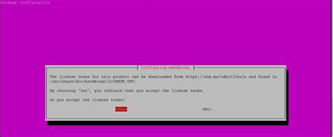 Step By Step Process To Install Sql Tools On Ubuntu Server Running