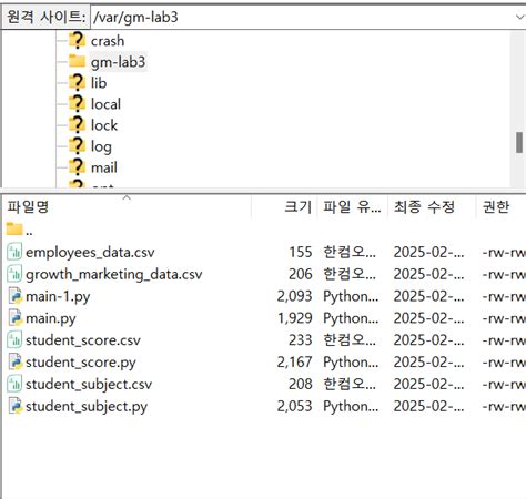 [멋쟁이사자처럼 부트캠프 그로스 마케팅] 데이터 분석 개론 pandas sql 연동 ︻╦╤─ ҉