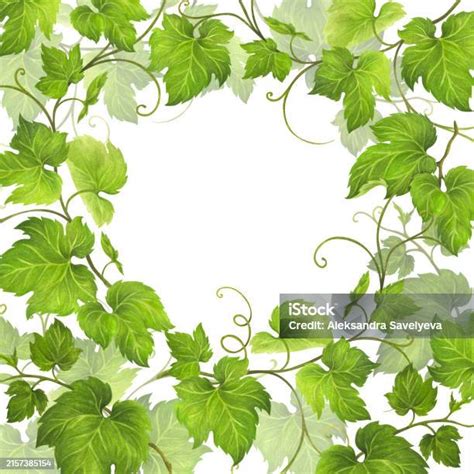 포도 잎과 덩굴손의 정사각형 배경에 중앙에 텍스트를 위한 둥근 빈 공간이 있습니다 엽서 메뉴 표지 메모장 포장의 디자인에 대 한