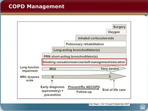 Ppt Back To Basics Review Respirology In Under Two Hours Powerpoint Presentation Id 3299186