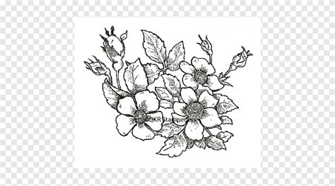 플로랄 디자인 컷 꽃 대칭 패턴 꽃 분기 대칭 Png Pngegg