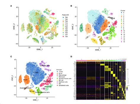 Single Cell Rna Sequencing Analysis Identifies Nk Cell Marker Genes Download Scientific