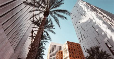 Top Things To Do In Downtown Phoenix Tourteller Blog