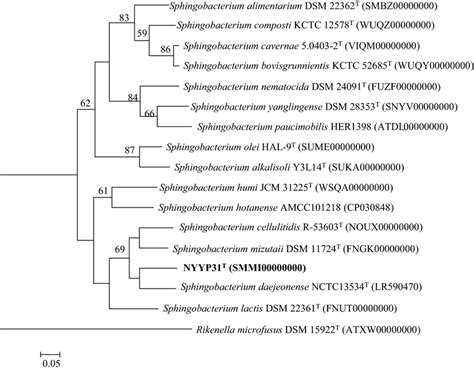 Phylogenetic Tree Inferred Using Ubcgs Concatenated Alignment Of 92 Download Scientific