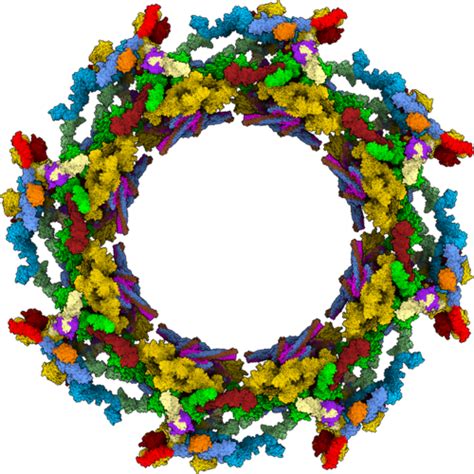 Pdb Ihm Validation Report