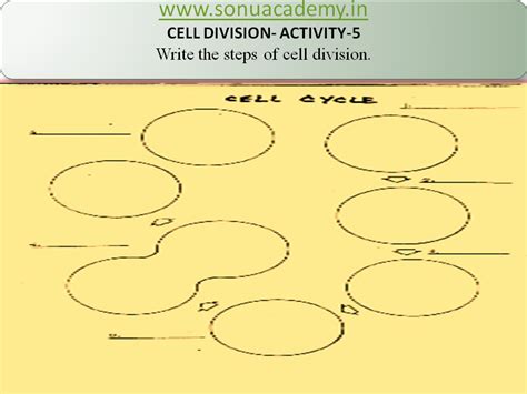 Sonu Academy Cell Division Activity 5