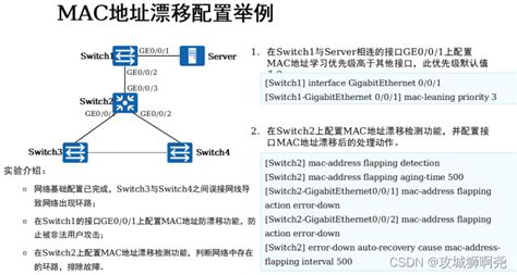 端口安全、mac地址漂移、macsec、流量控制、dhcp snooping 端口 macsec csdn博客