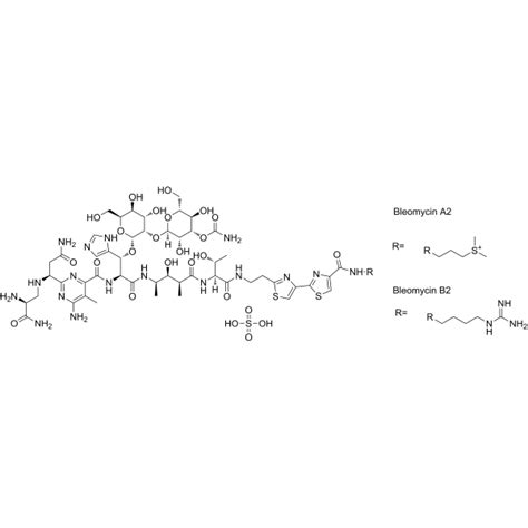 Bleomycin Sulfate Medchemexpress Mce Life Science Reagents