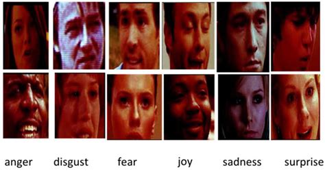 Fusing Hog And Convolutional Neural Network Spatial Temporal Features For Video‐based Facial