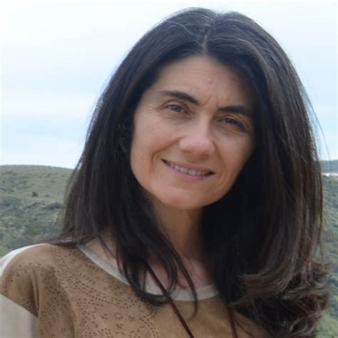 paula albuquerque phd university of lisbon lisbon ul economics