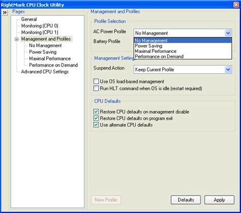 RightMark CPU Clock Utility Descargar