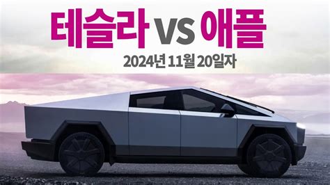 2024년 11월 20일자 테슬라 Vs 애플 승자 발표 218 각각의 주식을 매일 똑 같은 금액 10달러어치씩 매수 가상투자 아님 현재 누가 수익을 더