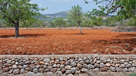 발레아레스 섬의 농촌 풍경입니다 이 비자에서 구나입니다 분야에서 파 종 빨간 토양입니다 0명에 대한 스톡 사진 및 기타 이미지 Istock