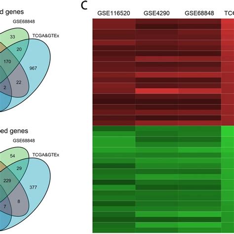 Identification Of 322 Overlapping Degs Venn Diagrams Revealing A 87
