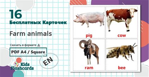 16 Бесплатных Карточек Животные в деревне на Английском | PDF
