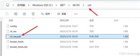 【创新项目实训个人博客】创新实训项目初始化——gitee的使用 gitee创建项目 csdn博客