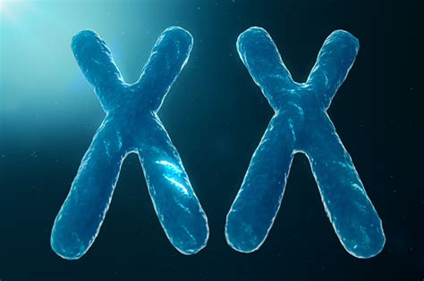 유전자 코드를 운반 하는 Dna를 가진 Xx염색체 유전학 개념 의학 개념입니다 미래 유전 돌연변이 생물학적 수준에서 유전 코드를