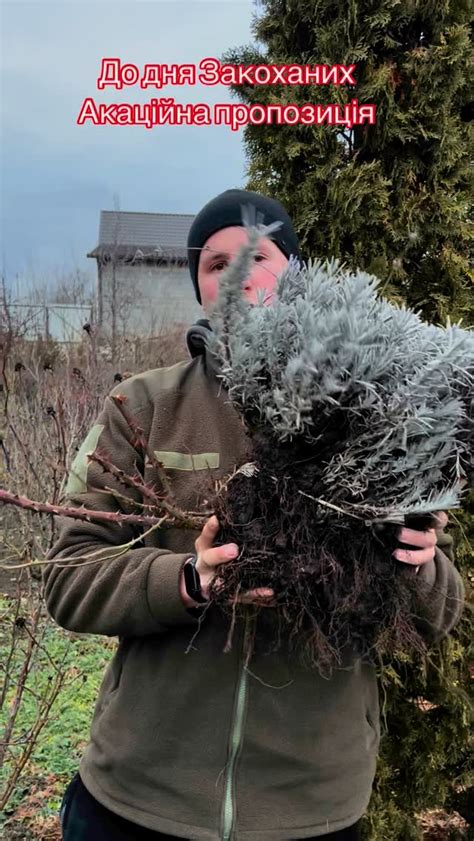 Decorative Seedlings • Instagram Photos And Videos