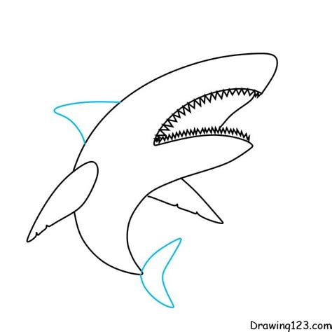 How To Draw A Shark Step By Step Dragon Art