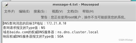 dns协议分析【头歌】 双击打开桌面上的工作区文件夹 workspace 下的实训文件夹 myshixun 中的项目文件 csdn博客