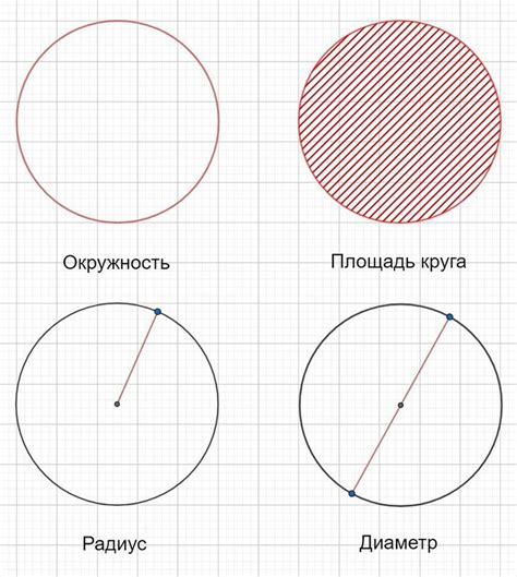 Площадь круга онлайн калькулятор как найти через диаметр радиус длину окружности формулы